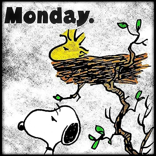 Sad Monday Pictures, Photos, and Images for Facebook, Tumblr, Pinterest ...