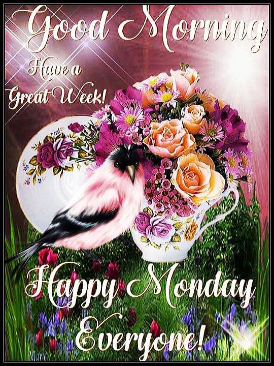 Great Week, Good Morning Happy Monday Pictures, Photos, and Images for ...