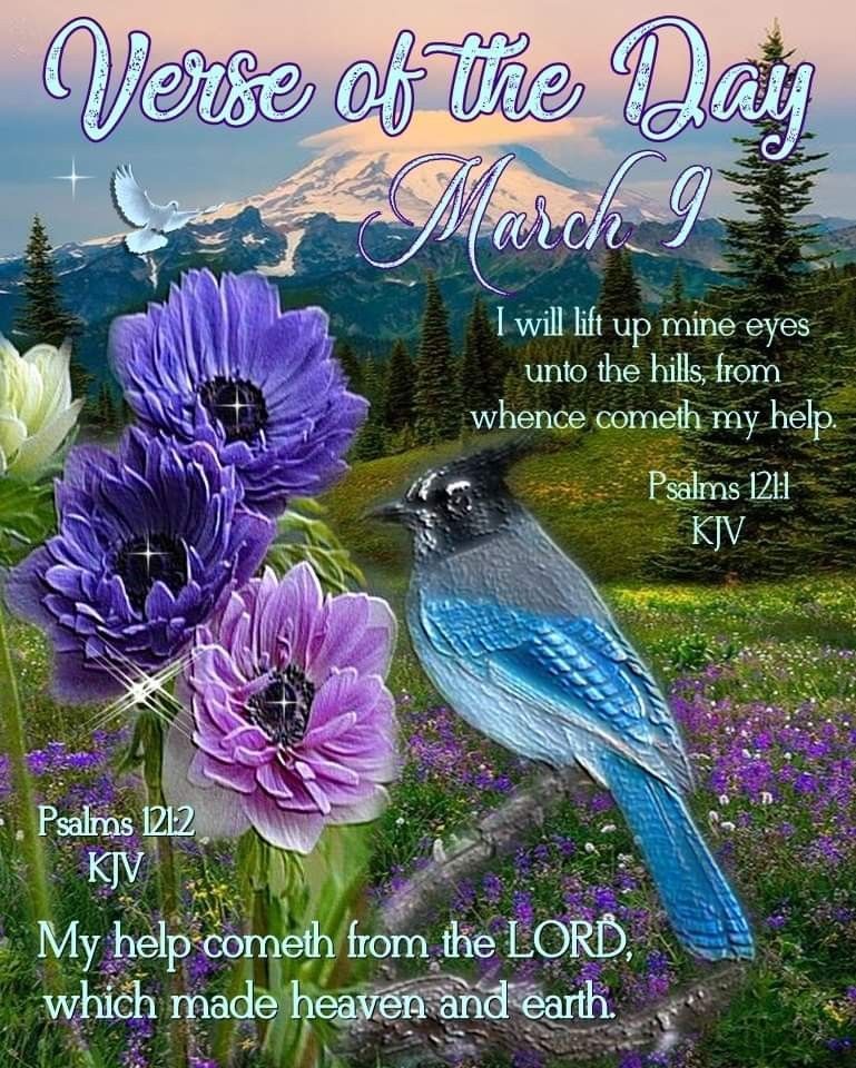 March 9 Verse Of The Day Pictures, Photos, and Images for Facebook ...