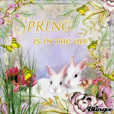 Spring Is In The Air Pictures, Photos, and Images for Facebook, Tumblr ...