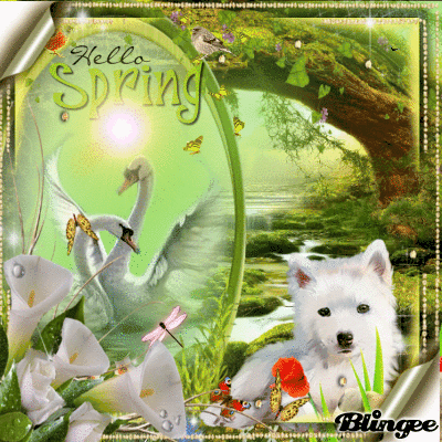 Swan Hello Spring Pictures, Photos, and Images for Facebook, Tumblr ...