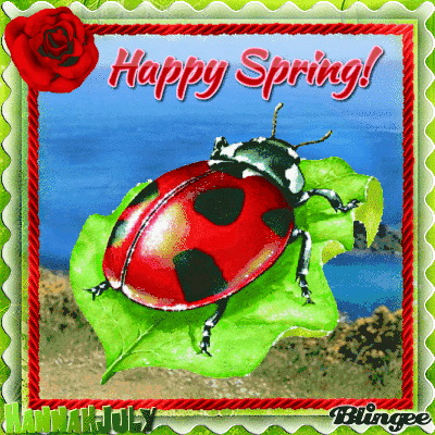 Ladybug Happy Spring Pictures, Photos, and Images for Facebook, Tumblr ...