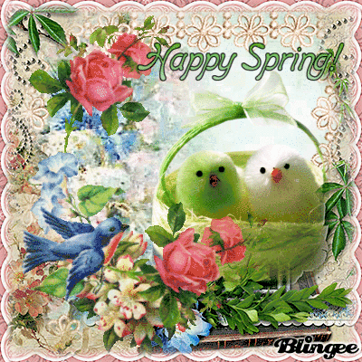 Happy Spring Birds Pictures, Photos, and Images for Facebook, Tumblr ...