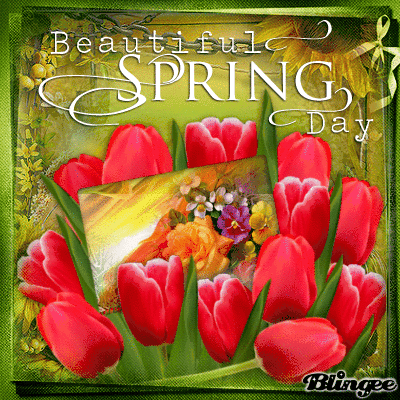 Red Tulip Beautiful Spring Day Pictures, Photos, and Images for ...