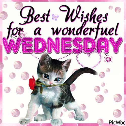 Best Wishes For A Wonderful Wednesday Pictures, Photos, and Images for ...