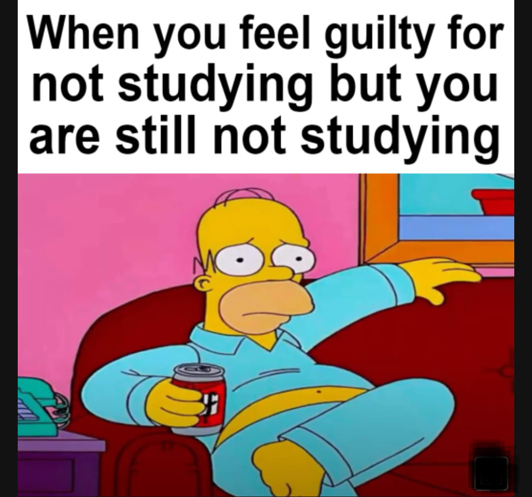 When You Feel Guilty For Not Studying Pictures, Photos, and Images for ...