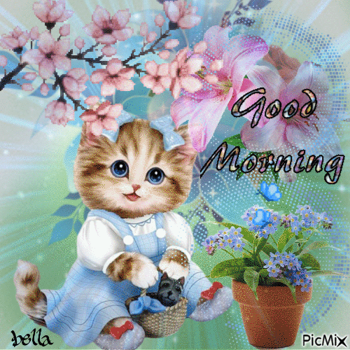 Baby Kitty Good Morning Pictures, Photos, and Images for Facebook ...