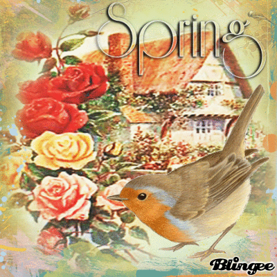 Spring Bird Pictures, Photos, and Images for Facebook, Tumblr ...