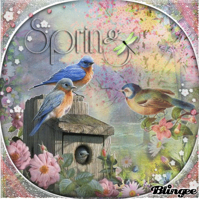 Beautiful Spring Birdies Pictures, Photos, and Images for Facebook ...
