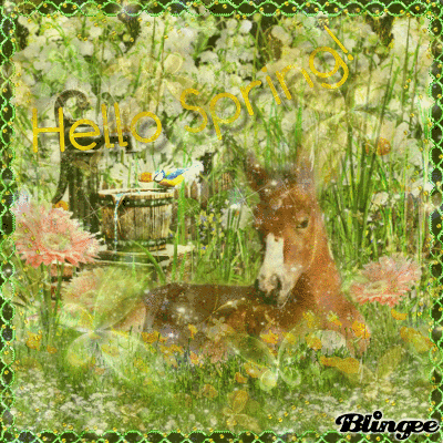 Pony Hello Spring Pictures, Photos, and Images for Facebook, Tumblr ...