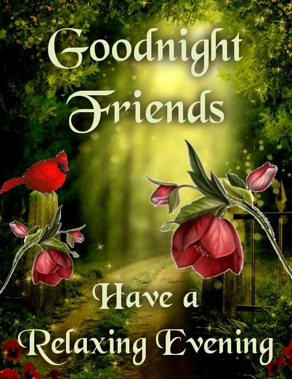 Goodnight Friends Pictures, Photos, and Images for Facebook, Tumblr ...