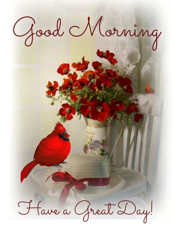 Floral Red Cardinal Good Morning Greeting Pictures, Photos, and Images ...