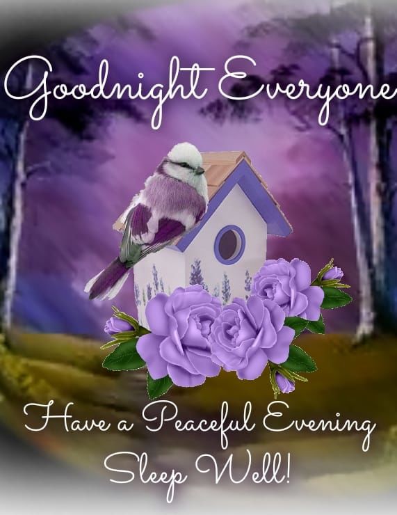 Good Night Everyone Quotes