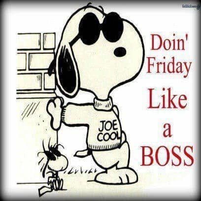 Doing Friday Like A Boss Pictures, Photos, and Images for Facebook ...