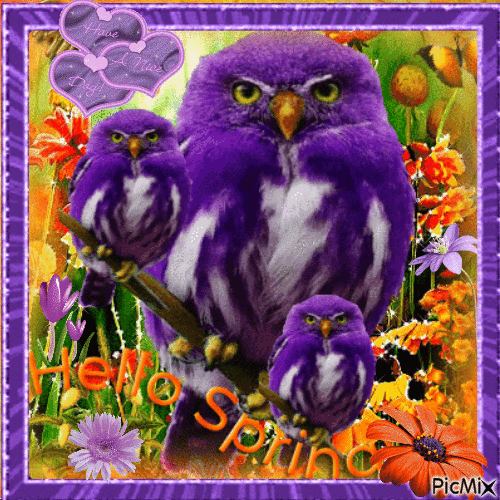 Purple Owl Hello Spring Pictures, Photos, and Images for Facebook ...