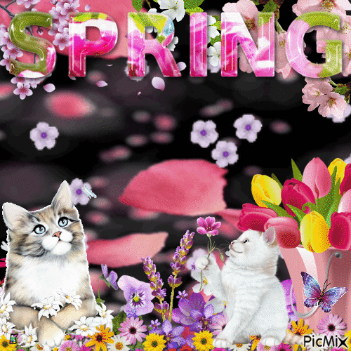 Blooming Spring Gif Pictures, Photos, and Images for Facebook, Tumblr ...