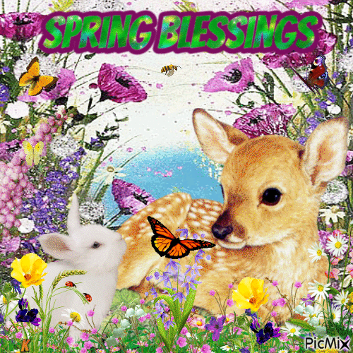 Deer & Rabbit Spring Blessings Pictures, Photos, and Images for ...