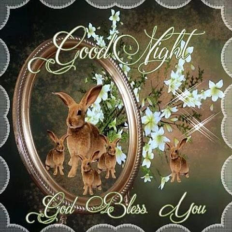 Bunny Family - Good Night God Bless You Pictures, Photos, and Images ...