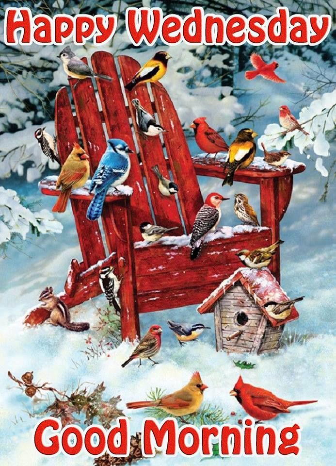 Winter Birds Happy Wednesday, Good Morning Pictures, Photos, and Images ...