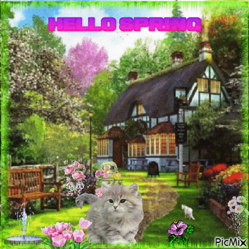 Grey Kitty Hello Spring Pictures, Photos, and Images for Facebook ...