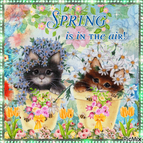 Kittens In Flower Pots - Spring Is In The Air Pictures, Photos, and ...