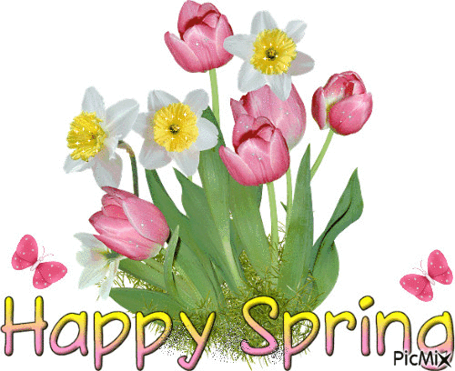 White & Pink Tulips - Happy Spring Pictures, Photos, and Images for ...