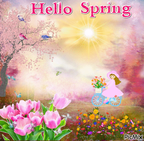 Field Of Flowers - Hello Spring Pictures, Photos, and Images for ...
