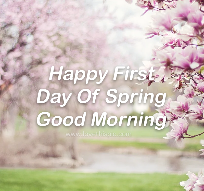 Springtime Blossom - Happy First Day Of Spring, Good Morning Pictures ...