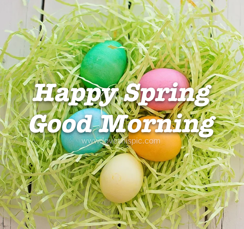Pastel Eggs Happy Spring, Good Morning Pictures, Photos, and Images for ...