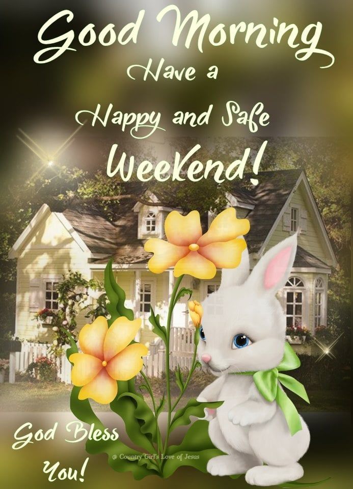 Happy And Safe Weekend, Good Morning Pictures, Photos, and Images for ...