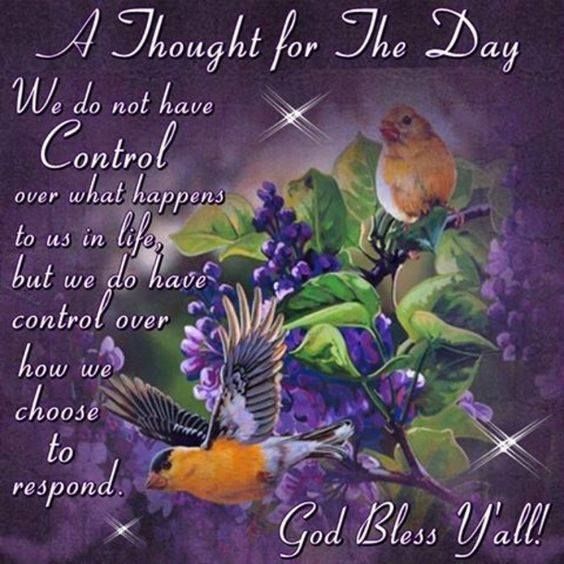 We Have Control Over How We Choose To Respond Pictures, Photos, and ...