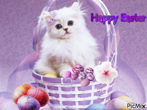 Cute Kitty In Basket - Happy Easter Pictures, Photos, and Images for ...