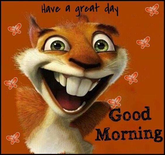 Happy Squirrel - Have A Great Day, Good Morning Pictures, Photos, and ...