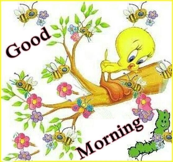 Tweety & Bees Good Morning Pictures, Photos, and Images for Facebook ...