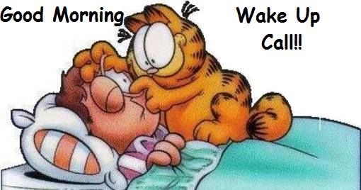 Garfield Morning Wake Up Call Pictures, Photos, and Images for Facebook ...