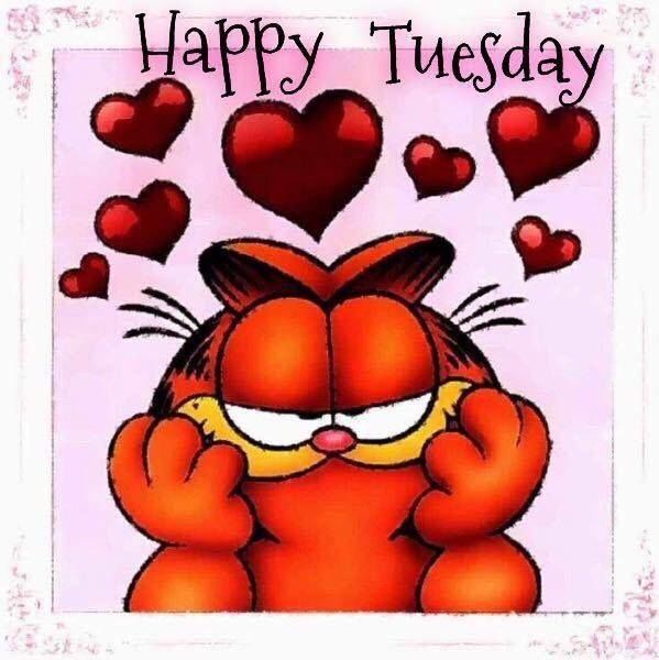 Garfield Happy Tuesday Pictures, Photos, and Images for Facebook ...