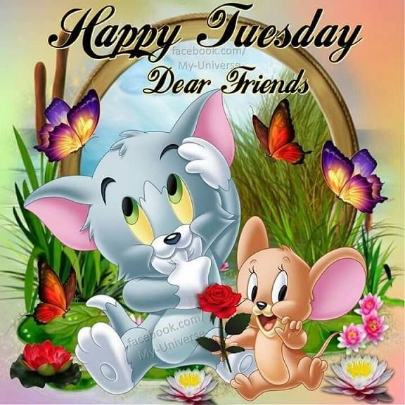 Tom & Jerry Happy Tuesday Friend Quote Pictures, Photos, and Images for ...