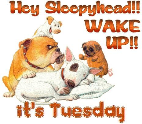 Hey Sleepyhead, Wake Up! Pictures, Photos, and Images for Facebook ...