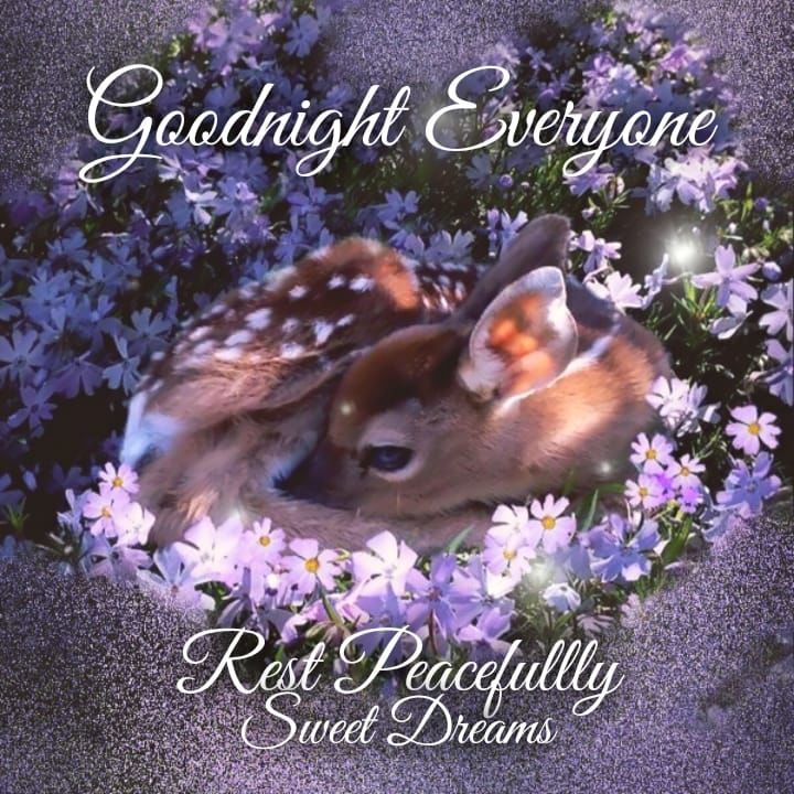 Rest Peacefully, Sweet Dreams Pictures, Photos, and Images for Facebook ...