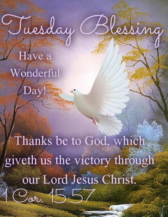 Victory Tuesday Blessing Pictures, Photos, and Images for Facebook ...