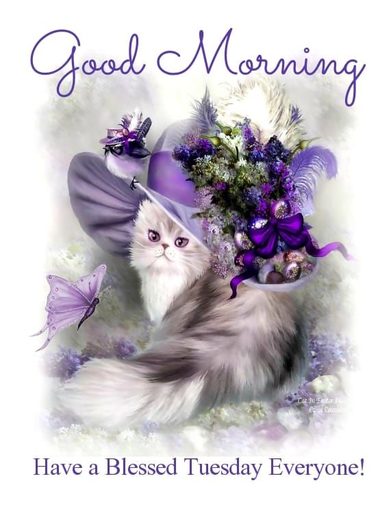 Fancy Cat With Hat - Good Morning Blessed Tuesday Pictures, Photos, and ...