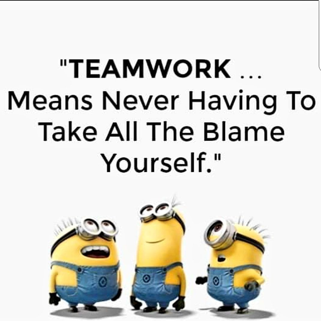 Teamwork Means Never Having To Take All The Blame Yourself Pictures 