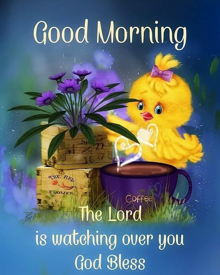 Baby Chick Good Morning Blessing Pictures, Photos, and Images for ...