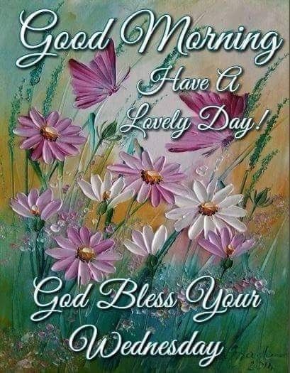 Pink & White Daisy Good Morning Wednesday Pictures, Photos, and Images ...