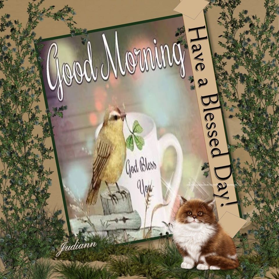 Good Morning Pictures, Photos, and Images for Facebook, Tumblr ...