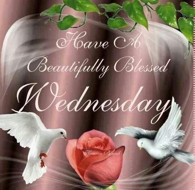 Beautifully Blessed Wednesday Pictures, Photos, and Images for Facebook ...
