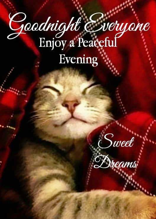 Enjoy A Peaceful Evening Pictures, Photos, and Images for Facebook ...