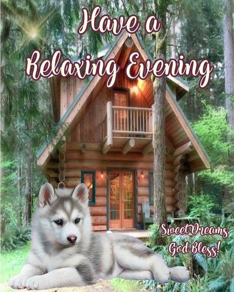Husky & Cabin Relaxing Evening Pictures, Photos, and Images for ...