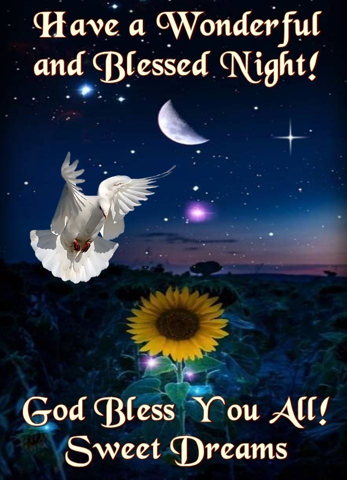 Blessed Night, God Bless You All Sweet Dreams Pictures, Photos, and ...