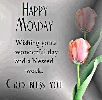 Tulip Happy Monday, God Bless You Pictures, Photos, and Images for ...